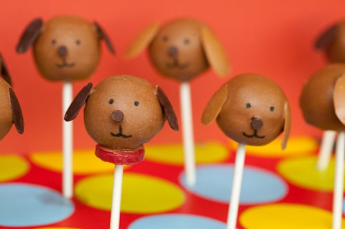 Puppy Cake Pops (Chocolate Cake Pops) | Chew Out Loud