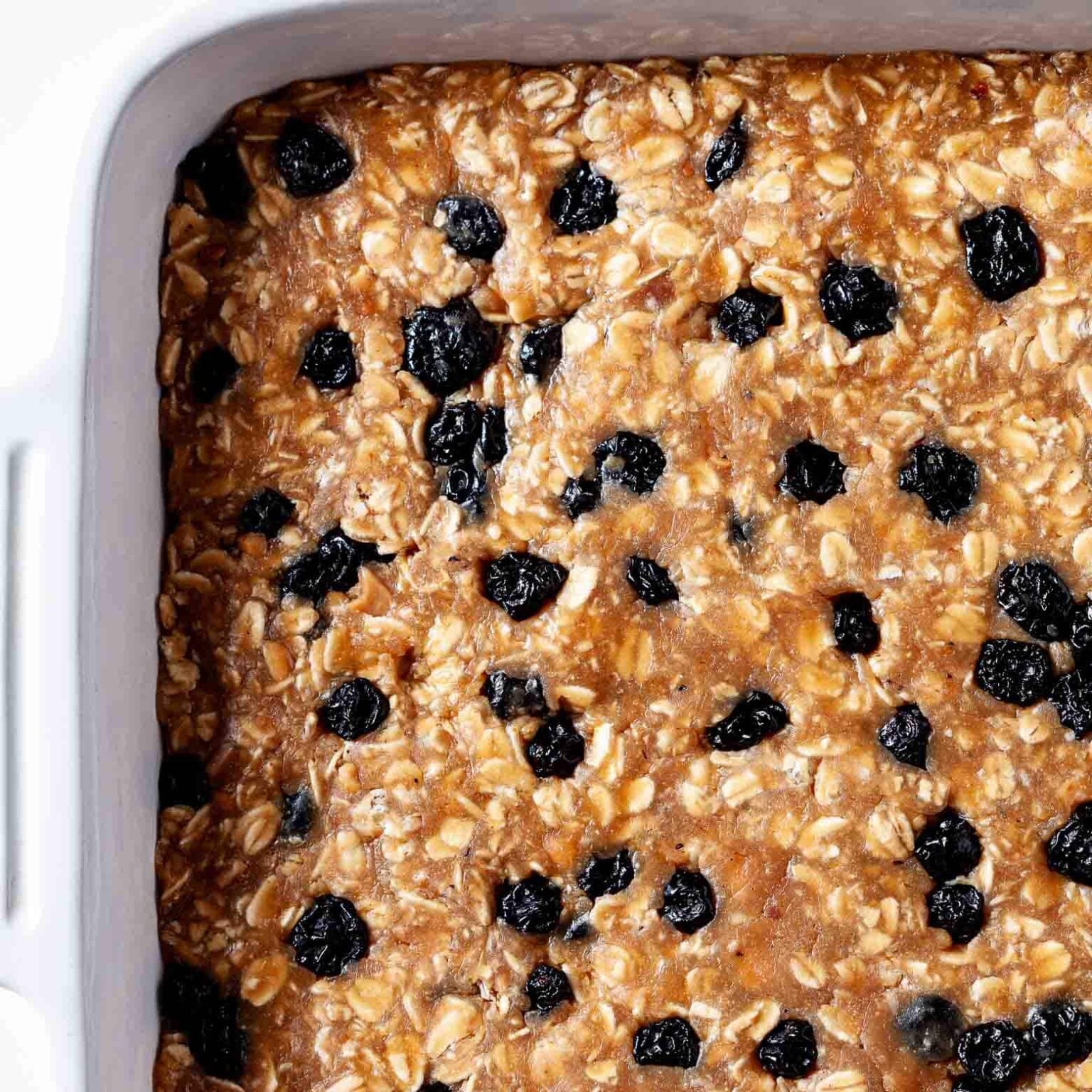 5-Ingredient Protein Bars (no-bake!) | Chew Out Loud