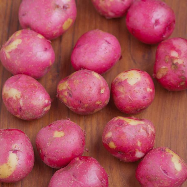 Roasted Red Potatoes | Chew Out Loud
