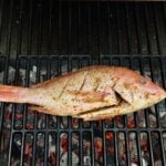 Grilled Red Snapper | Chew Out Loud